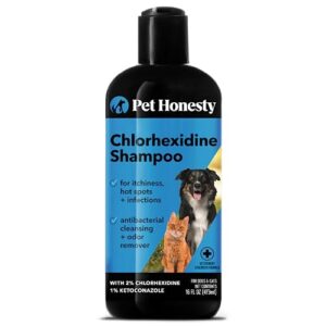 pet honesty chlorhexidine shampoo - ketoconazole & aloe for dogs & cats - helps itching, hot spots, irritation & allergies, sensitive skin, deodorizing dog shampoo, dog grooming supplies - 16oz