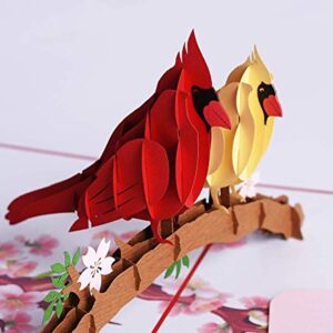 3D Popup Card of Cardinal Bird, Paper Art & Handicrafts, Greeting Cards, Handmade Gifts by PQDGlobal (Cardinal couple)