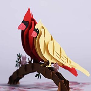 3D Popup Card of Cardinal Bird, Paper Art & Handicrafts, Greeting Cards, Handmade Gifts by PQDGlobal (Cardinal couple)