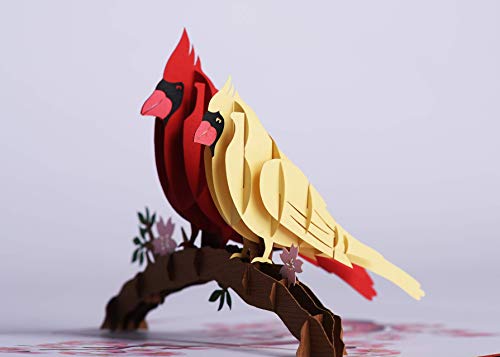 3D Popup Card of Cardinal Bird, Paper Art & Handicrafts, Greeting Cards, Handmade Gifts by PQDGlobal (Cardinal couple)