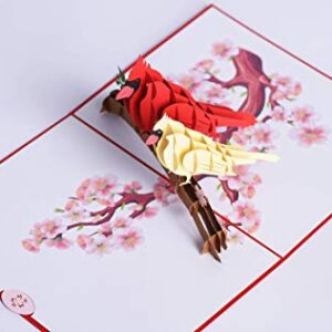 3D Popup Card of Cardinal Bird, Paper Art & Handicrafts, Greeting Cards, Handmade Gifts by PQDGlobal (Cardinal couple)