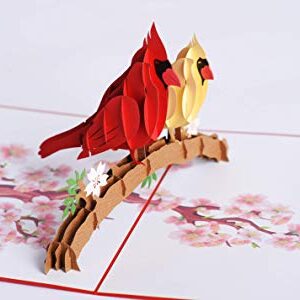 3D Popup Card of Cardinal Bird, Paper Art & Handicrafts, Greeting Cards, Handmade Gifts by PQDGlobal (Cardinal couple)