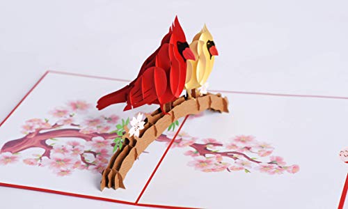 3D Popup Card of Cardinal Bird, Paper Art & Handicrafts, Greeting Cards, Handmade Gifts by PQDGlobal (Cardinal couple)