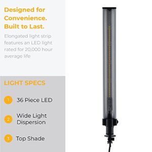 V- Light Advantus Energy Efficient LED Desk Lamp, Black and Silver 3 x 3 x 21.5