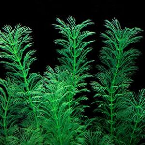 QUMY Aquarium Plants Artificial Plastic Fish Tank Plants Decoration Set for All Fish 5 PCS