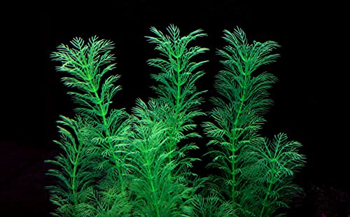 QUMY Aquarium Plants Artificial Plastic Fish Tank Plants Decoration Set for All Fish 5 PCS