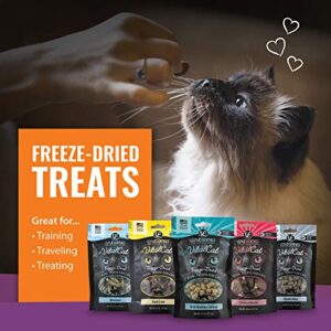 Vital Cat Vital Essentials Minnows Freeze-Dried Cat Treats - All Natural Raw Treat - Made & Sourced in USA - Grain Free - 0.5 oz Resealable Pouch - 3 Pack