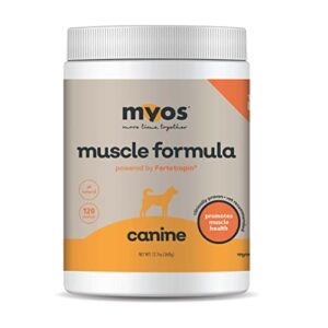 myos canine muscle formula - clinically proven all-natural muscle building supplement - reduce muscle loss in aging dogs and improve recovery from injury or surgery, 12.7 ounce