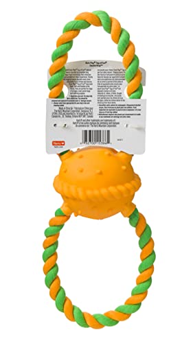 Hartz DuraPlay Bacon Scented Dog Toys, Medium/Large for All Breed Sizes