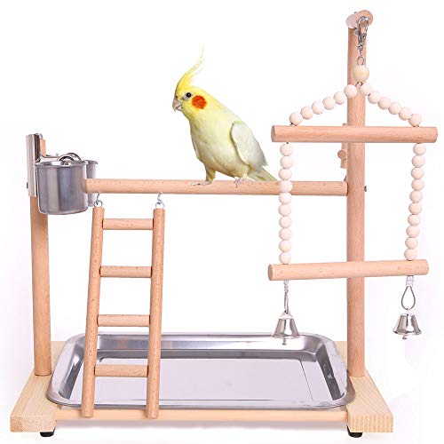 QBLEEV Bird Playground Birdcage Playstand Parrot Play Gym Parakeet Cage Decor Budgie Perch Stand with Feeder Seed Cups Ladder Hanging Swing Chew Toys Conure Macaw Cockatiel Finch Small Animals