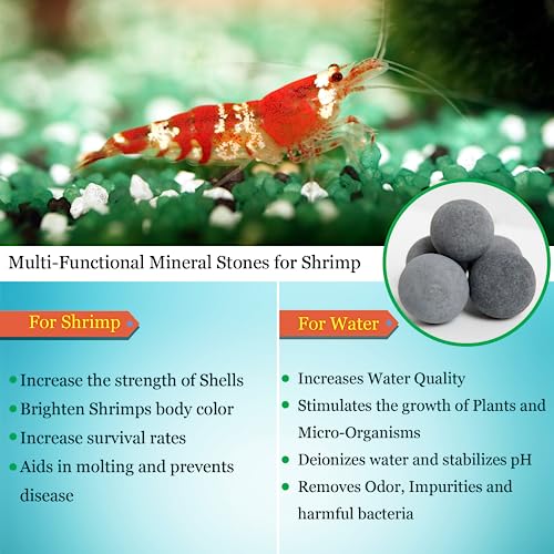 SunGrow Shrimp Tourmaline Balls, Calcium-Rich Balls, Successful Shedding, Increase Survival Rate, Impart Vibrance, Cool Décor with Health Benefits