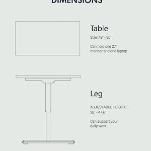 FLEXISPOT Standing Desk 48 x 30 Inches Height Adjustable Electric Sit Stand Home Office Desks Whole Piece Desk Board (Black Frame + Black top,2 Packages)