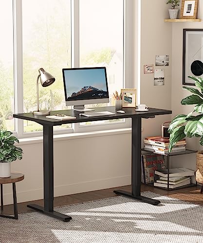 FLEXISPOT Standing Desk 48 x 30 Inches Height Adjustable Electric Sit Stand Home Office Desks Whole Piece Desk Board (Black Frame + Black top,2 Packages)