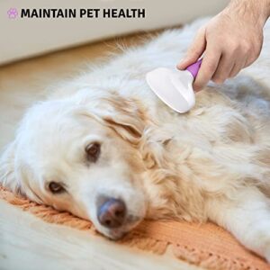 Poodle Pet Slicker Brush for Small and Large Dogs Pet Hair Remover | Effectively and Effortlessly Removes Tangles, Mats, and Loose Hair | for Short or Long Hair(Grooming Brush)