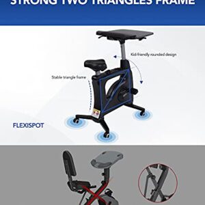 FLEXISPOT Computer Workstation Standing Desk Exercise Bike Home Office Furniture Desk -Deskcise pro（Black）