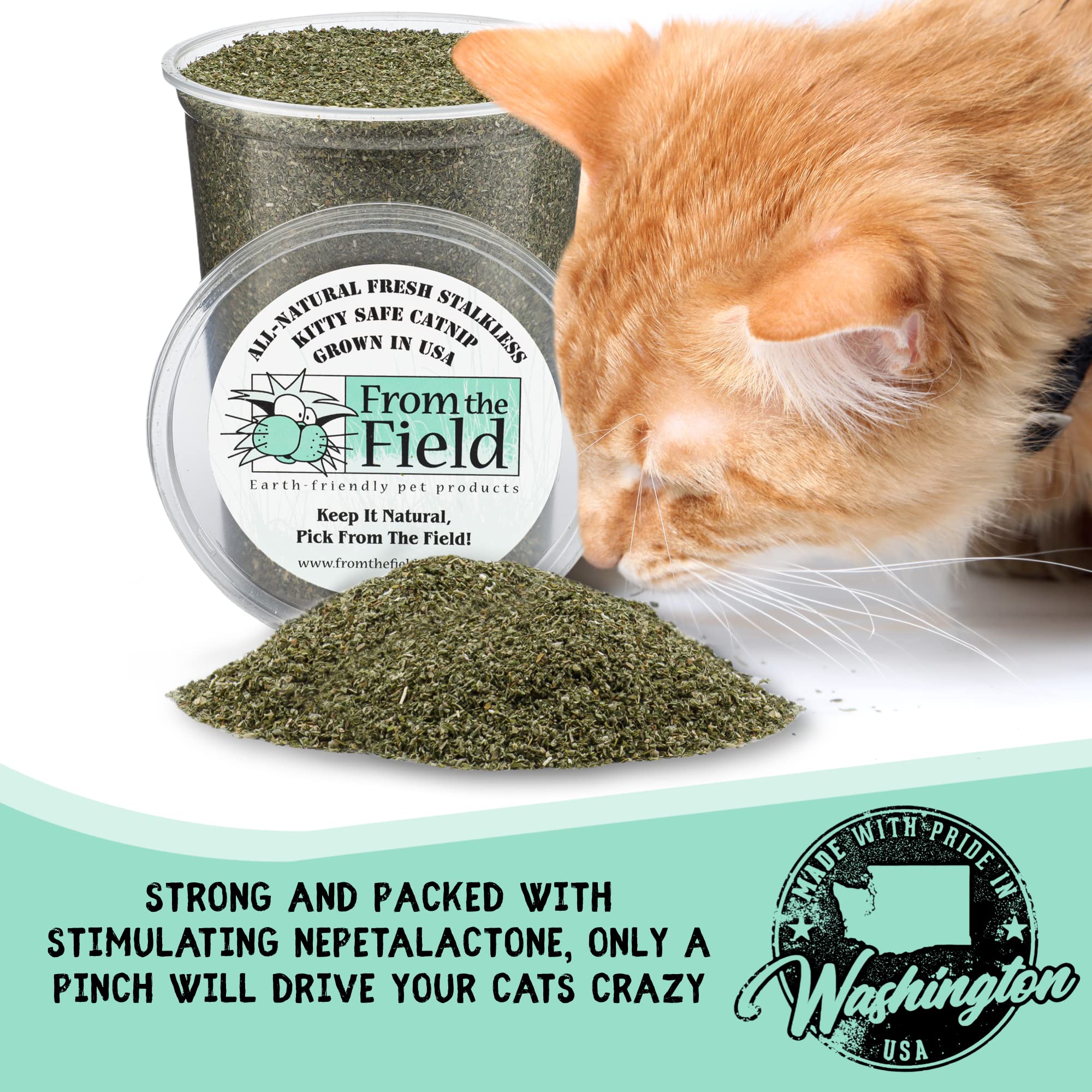 From the Field Catnip for Cats – All Natural Cat Nip, Finely Ground without Stalks or Stems, Resealable – Fresh, Potent and Grown in the USA Promotes Cat Exercise, Play and Engagement [Size Variation]