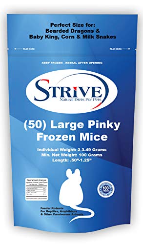 (50) Large Pinky Frozen Mice