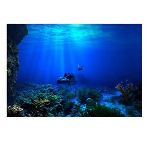 huhushop aquarium background hd undersea coral reef photo wall paper aquarium fish sea mural xxl undersea underwater world wall decoration (61x41cm)