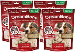 dreambone 4 pack of vegetable and chicken dog chews, mini, 24 per pack