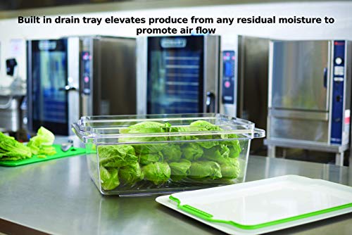 Rubbermaid Commercial Products FreshWorks™ Produce Saver Container, 12 Gallon Base Only (2052880)