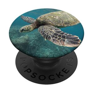 pop out cell phones holder underwater ocean sea turtles popsockets swappable popgrip