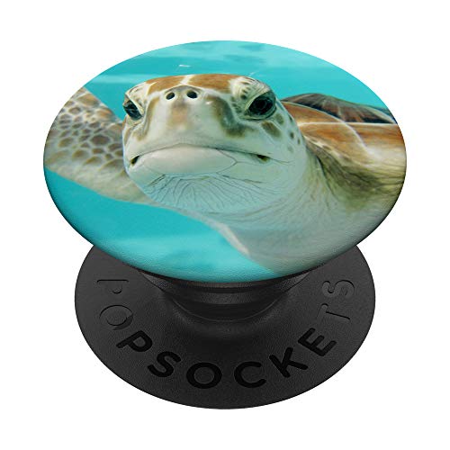 Pop out Cell Phones holder underwater Ocean Sea Turtles PopSockets Swappable PopGrip