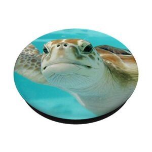 Pop out Cell Phones holder underwater Ocean Sea Turtles PopSockets Swappable PopGrip