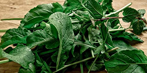 Sow Right Seeds - Arugula Seed for Planting - Non-GMO Heirloom Seeds with Instructions to Plant a Kitchen Herb Garden, Indoors or Outdoor; Great Gardening Gift