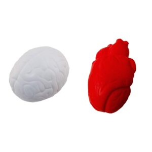 stress relief squeezable foam brain & heart