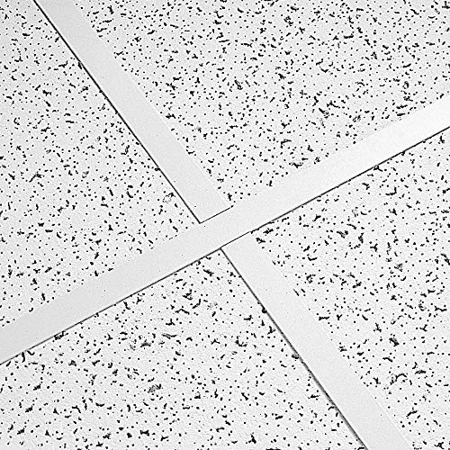 Armstrong Ceiling Tiles; 2x4 Ceiling Tiles - 12 pcs White Ceiling Tiles; Acoustic Ceilings for Suspended Ceiling Grid; CORTEGA 769