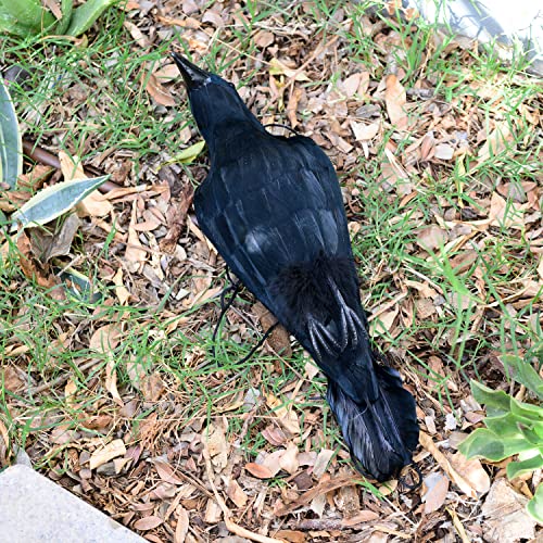 Dead Crow Scare Kit - 2 Dead Crow Bird Deterrents & Bird Distress Calls cd