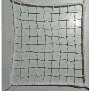 Anti Bird Net-Bird Protection Net Protection from Pigeon Birds & Cat Size: 8x6' (High Density Polyethylene (HDPE)