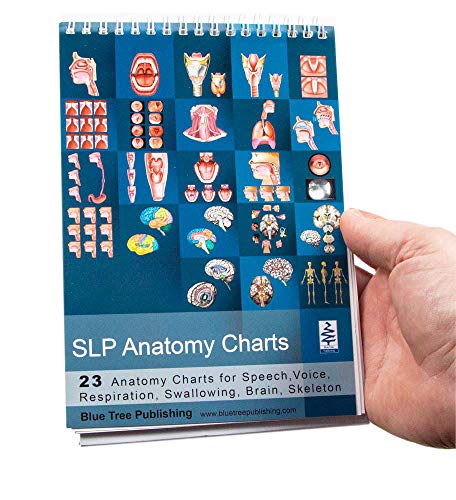 SLP Anatomy Flip Book Speech Language Pathology