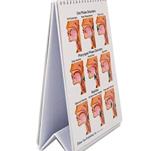 SLP Anatomy Flip Book Speech Language Pathology