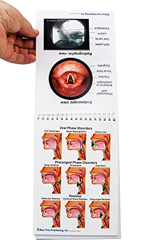 SLP Anatomy Flip Book Speech Language Pathology