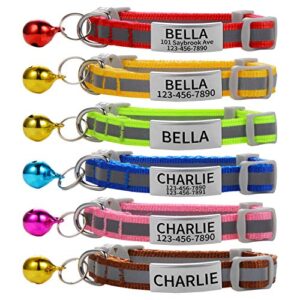 custom breakaway cat collars with bell - engraved stainless steel no noise slide-on identification tags on collar - up to 3 lines of personalized text (reflection)