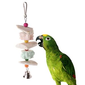 seaskyer parrot chewing toy, bird beak grinding stone bell, lava block calcium supplement food african greys amazon conure eclectus budgies parakeet cockatiel hamster chinchilla rabbit