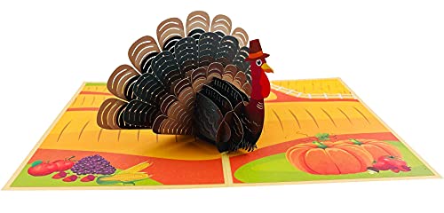 Thanksgiving Cards,3D Pop Up Thanksgiving Greeting Cards best Happy thanksgiving cards for kids with Envelope 1 Pack