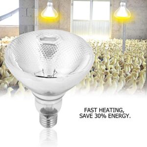 Eboxer Livestock Heat Lamp, 200W Sunlight Lamp Heating Light Bulb for Reptile Snake Piglet etc (200W)