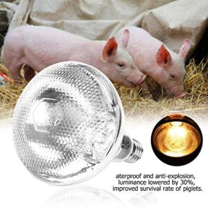 Eboxer Livestock Heat Lamp, 200W Sunlight Lamp Heating Light Bulb for Reptile Snake Piglet etc (200W)