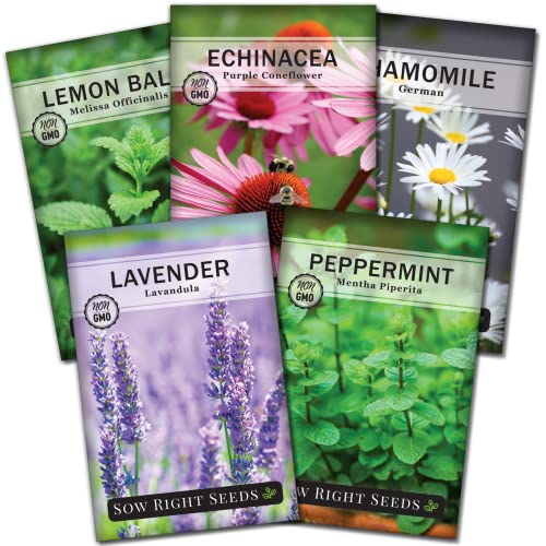 Sow Right Seeds - Herbal Tea Collection - Lemon Balm, Chamomile, Peppermint, Lavender, Echinacea Herb Seed for Planting; Non-GMO Heirloom Seed, Instructions to Plant Indoor or Outdoor; Gardening Gift