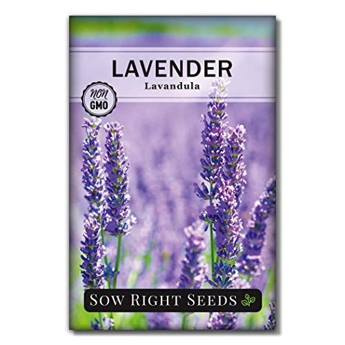 Sow Right Seeds - Herbal Tea Collection - Lemon Balm, Chamomile, Peppermint, Lavender, Echinacea Herb Seed for Planting; Non-GMO Heirloom Seed, Instructions to Plant Indoor or Outdoor; Gardening Gift