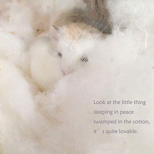 Warm Bedding in Cotton, Cotton Balls Filler for Hamster House, Eliminate Loneliness Enhance Sense of Security for Small Animals Hibernation Like Hamster, Mice, Chinchilla