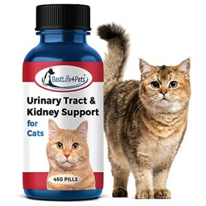 bestlife4pets cat uti urinary tract infection & kidney support treatment - all natural medicine to stop frequent urination - cats renal health and bladder control - easy to use natural pills