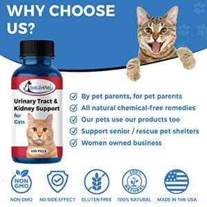 BestLife4Pets Cat UTI Urinary Tract Infection & Kidney Support Treatment - All Natural Medicine to Stop Frequent Urination - Cats Renal Health and Bladder Control - Easy to Use Natural Pills