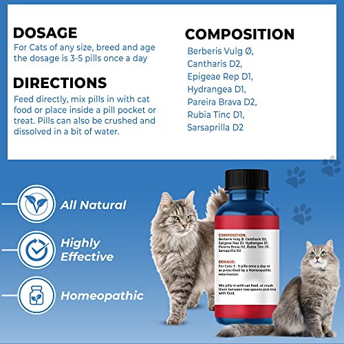 BestLife4Pets Cat UTI Urinary Tract Infection & Kidney Support Treatment - All Natural Medicine to Stop Frequent Urination - Cats Renal Health and Bladder Control - Easy to Use Natural Pills