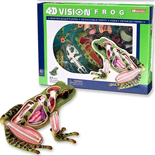 TEDCO 4D Vision Frog Anatomy Model