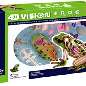 TEDCO 4D Vision Frog Anatomy Model