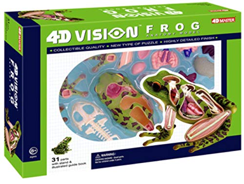 TEDCO 4D Vision Frog Anatomy Model