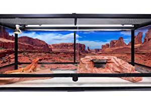 Reptile Habitat Background; Arches' Park Avenue, for 72Lx24Wx24H Terrarium, 3-Sided Wraparound